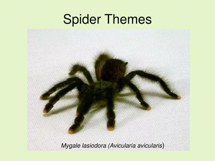PPT - Spider Themes PowerPoint Presentation, free download - ID:3940455