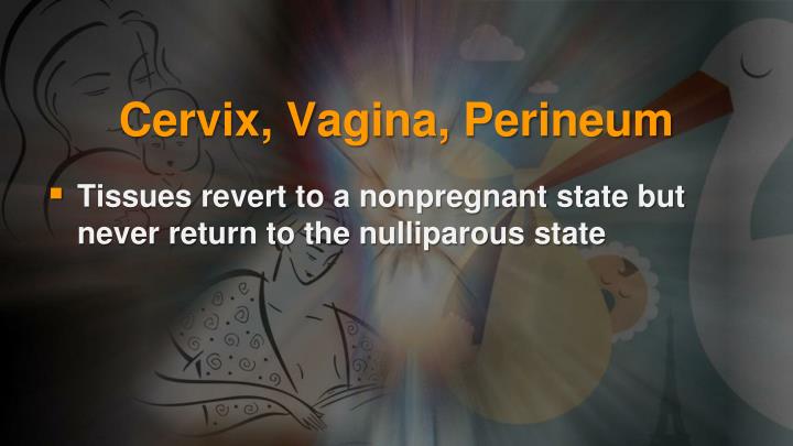 PPT - Puerperium PowerPoint Presentation - ID:3941997