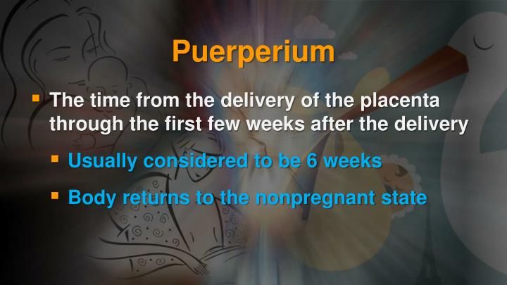 PPT - Puerperium PowerPoint Presentation - ID:3941997
