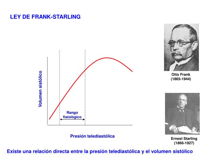 PPT - FUNCIÓN VENTRICULAR PowerPoint Presentation - ID:3942053