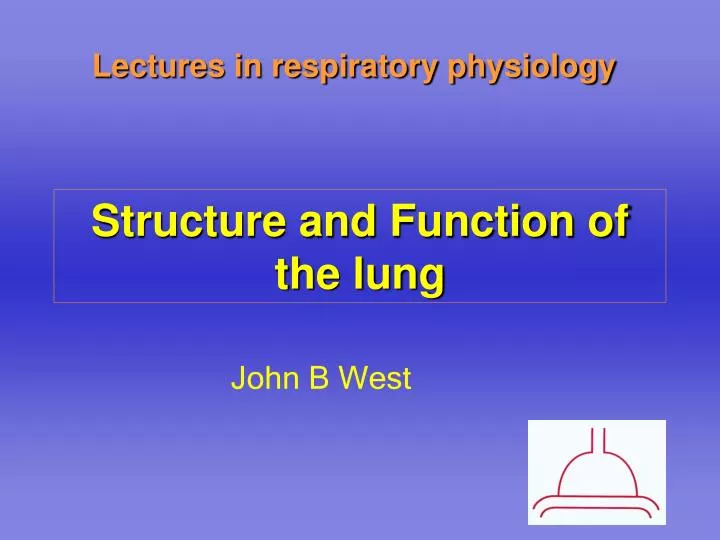 PPT - Structure and Function of the lung PowerPoint Presentation, free ...