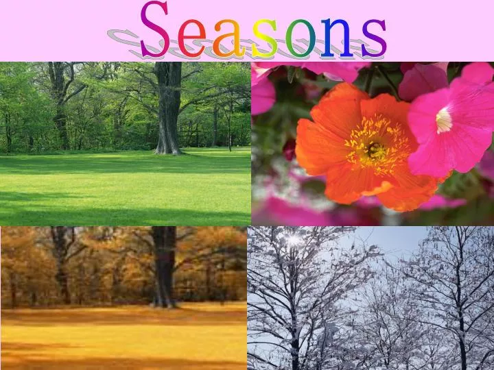 PPT - Seasons PowerPoint Presentation, free download - ID:3945029