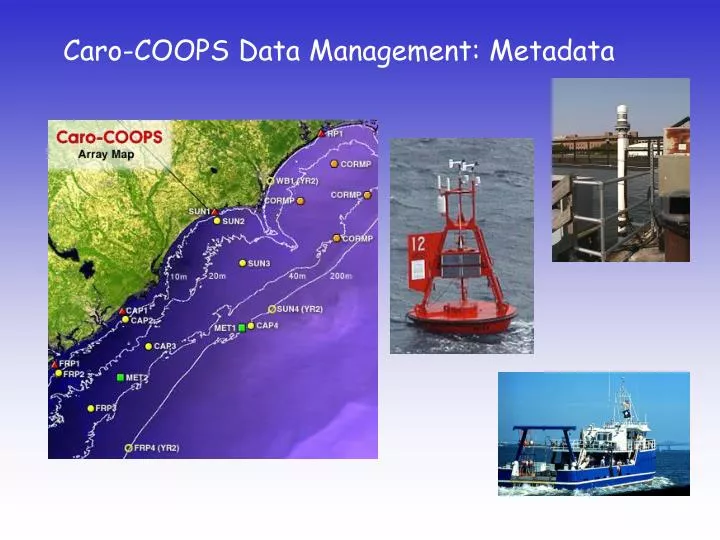 PPT - Caro-COOPS Data Management: Metadata PowerPoint Presentation ...