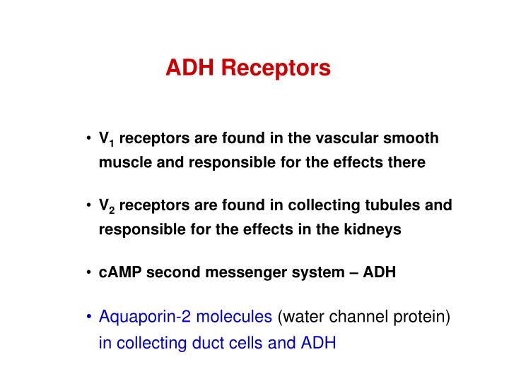 PPT - Oxytocin and Vasopressin PowerPoint Presentation - ID:3946132