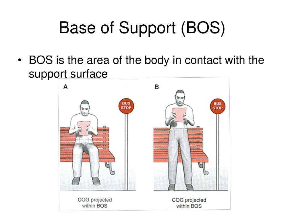 PPT - PTP 512 Neuroscience in Physical Therapy Postural Control ...