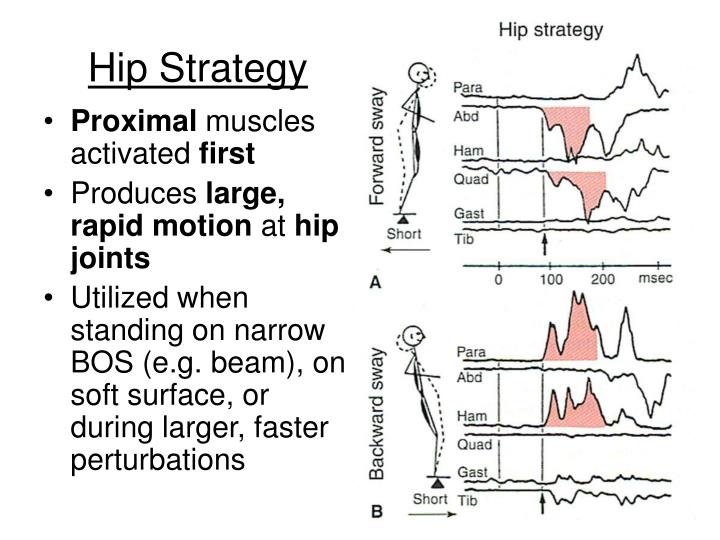 Hip Strategy 2017 HIP Strategy Performance HIP Investor