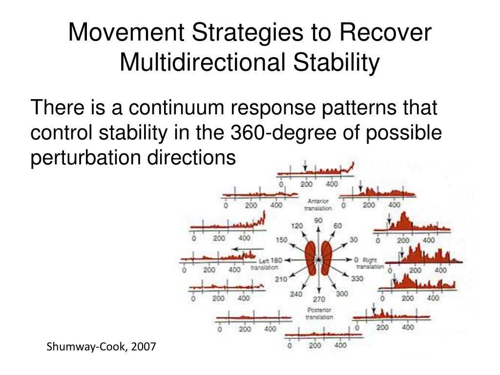 PPT - PTP 512 Neuroscience in Physical Therapy Postural Control ...