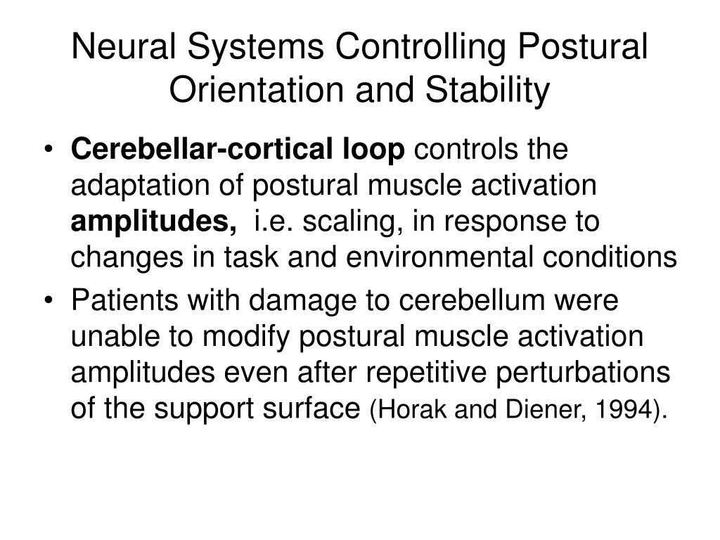 PPT - PTP 512 Neuroscience in Physical Therapy Postural Control ...