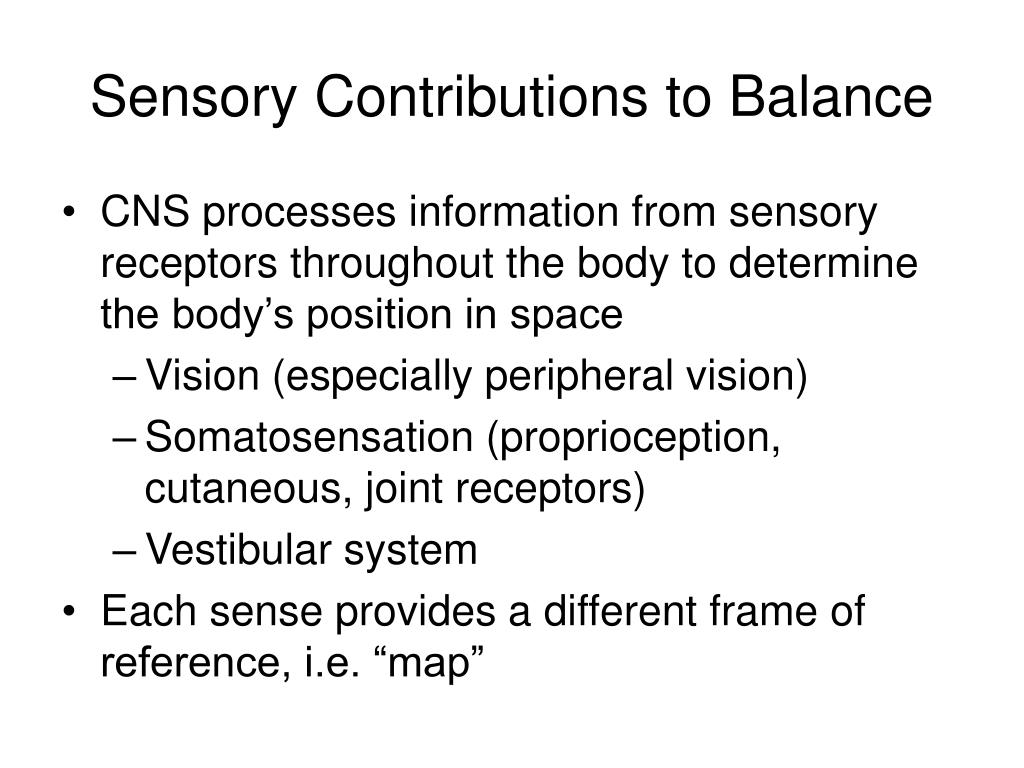 PPT - PTP 512 Neuroscience in Physical Therapy Postural Control ...