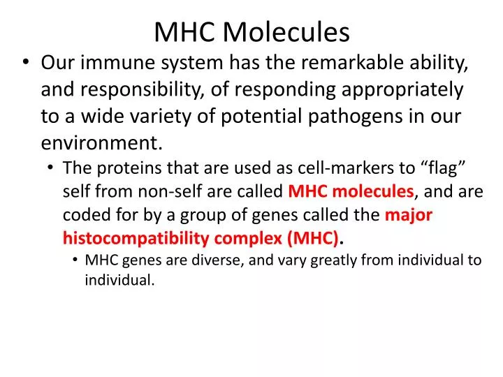 PPT - MHC Molecules PowerPoint Presentation, free download - ID:3947349