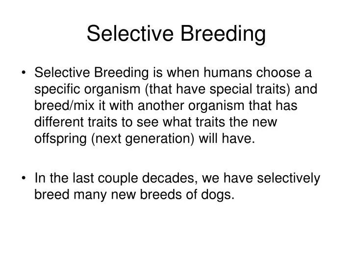 PPT - Selective Breeding PowerPoint Presentation, free download - ID ...