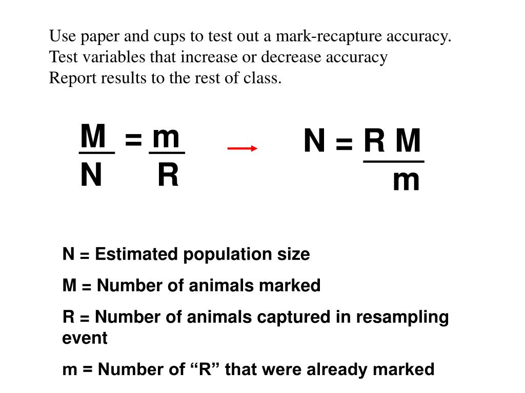 Ppt Mark Recapture Powerpoint Presentation Free Download Id 3949601