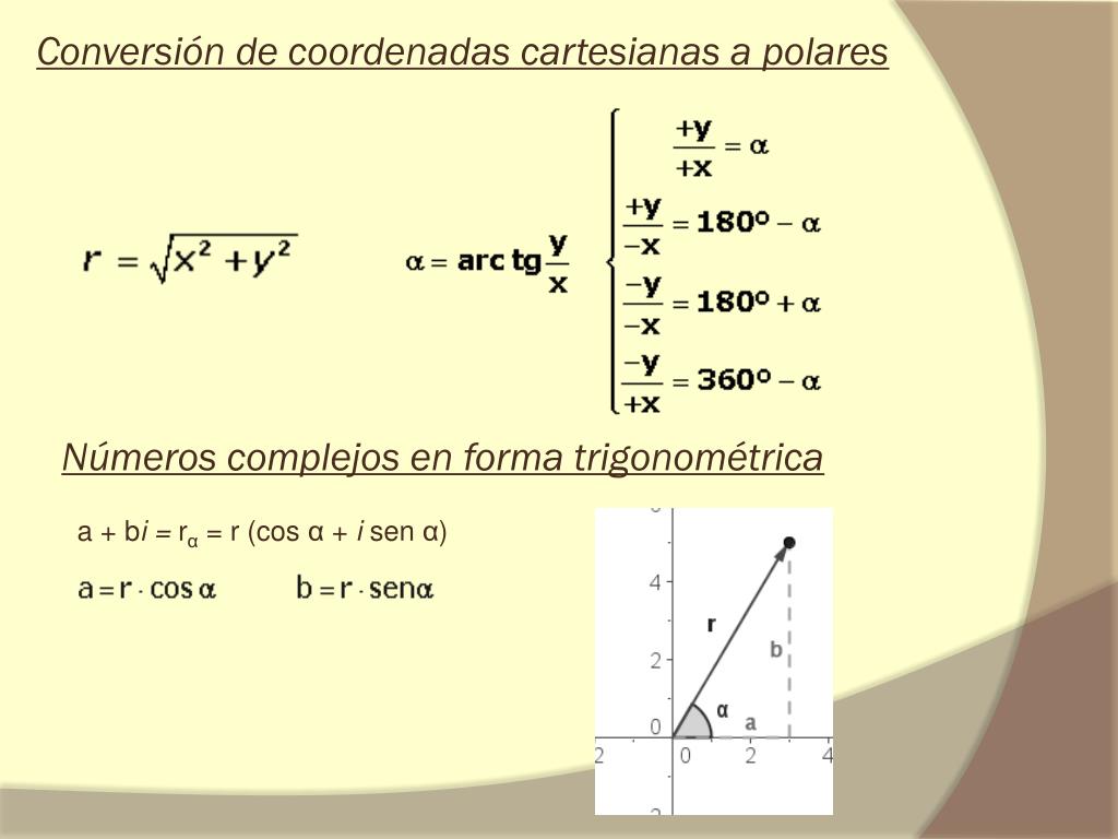 PPT - Universidad autónoma san francisco PowerPoint Presentation, free ...