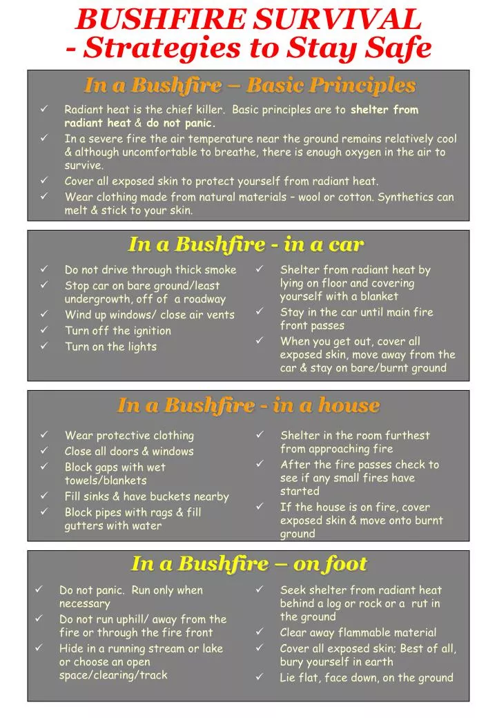 PPT - In a Bushfire – Basic Principles PowerPoint Presentation, free ...