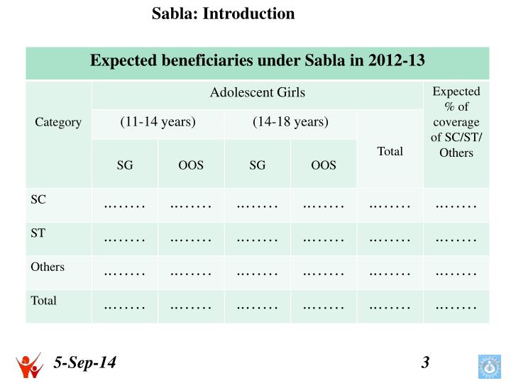 PPT - Review Meeting template for Rajiv Gandhi Scheme for Empowerment ...