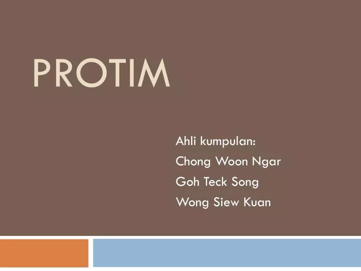 PPT - PROTIM PowerPoint Presentation, free download - ID:3953596