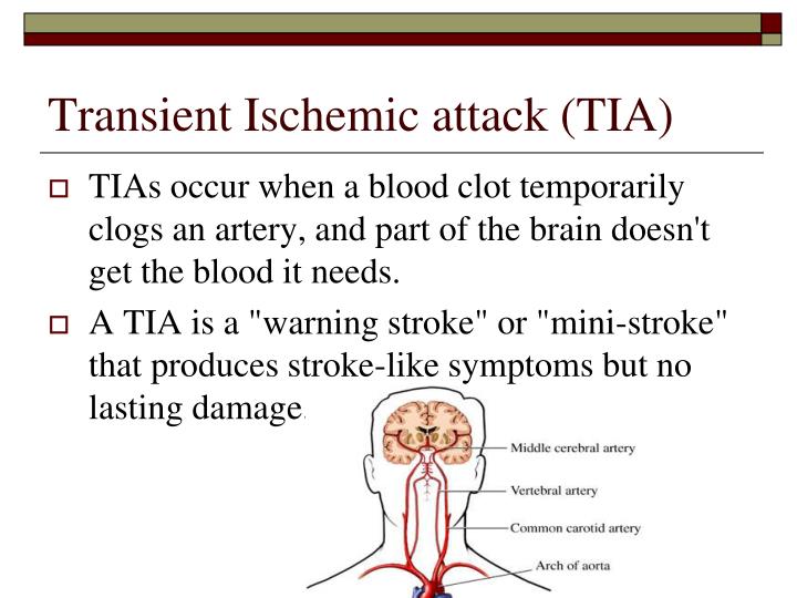 PPT - Cardiovascular System Blood and Lymphatic System PowerPoint ...