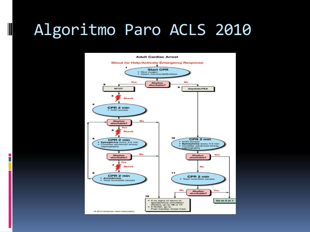 PPT - Guias de RCP y ACLS Actualizaciones 2010 PowerPoint Presentation ...