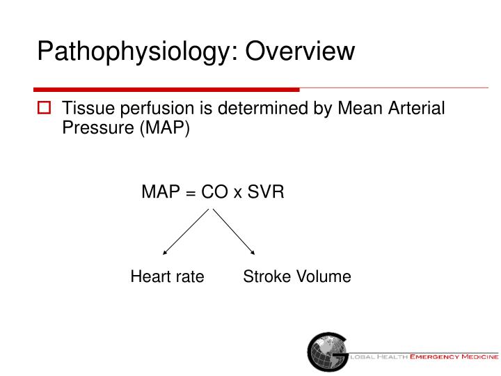 PPT - SHOCK PowerPoint Presentation - ID:3956326