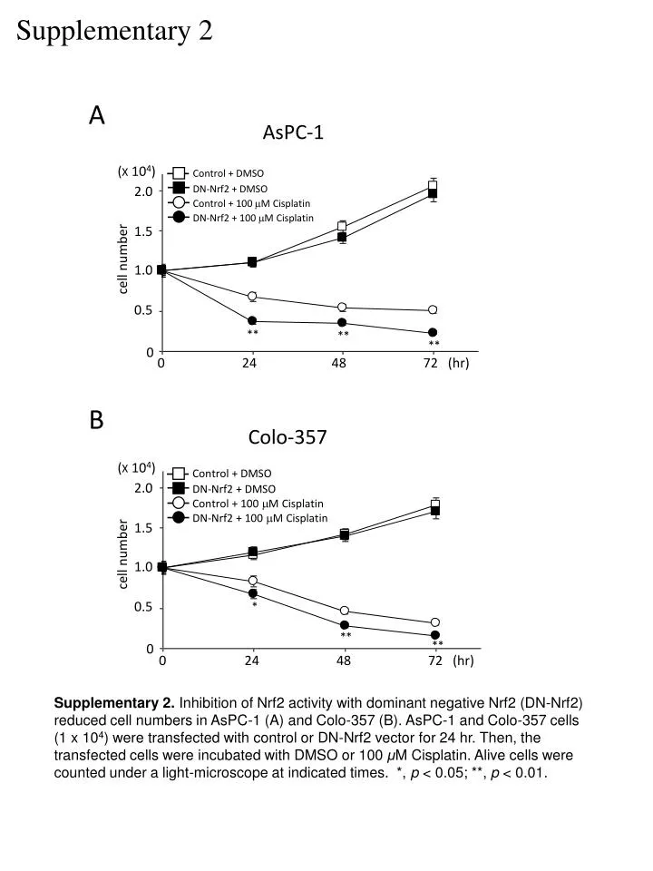 PPT - AsPC-1 PowerPoint Presentation, free download - ID:3956839