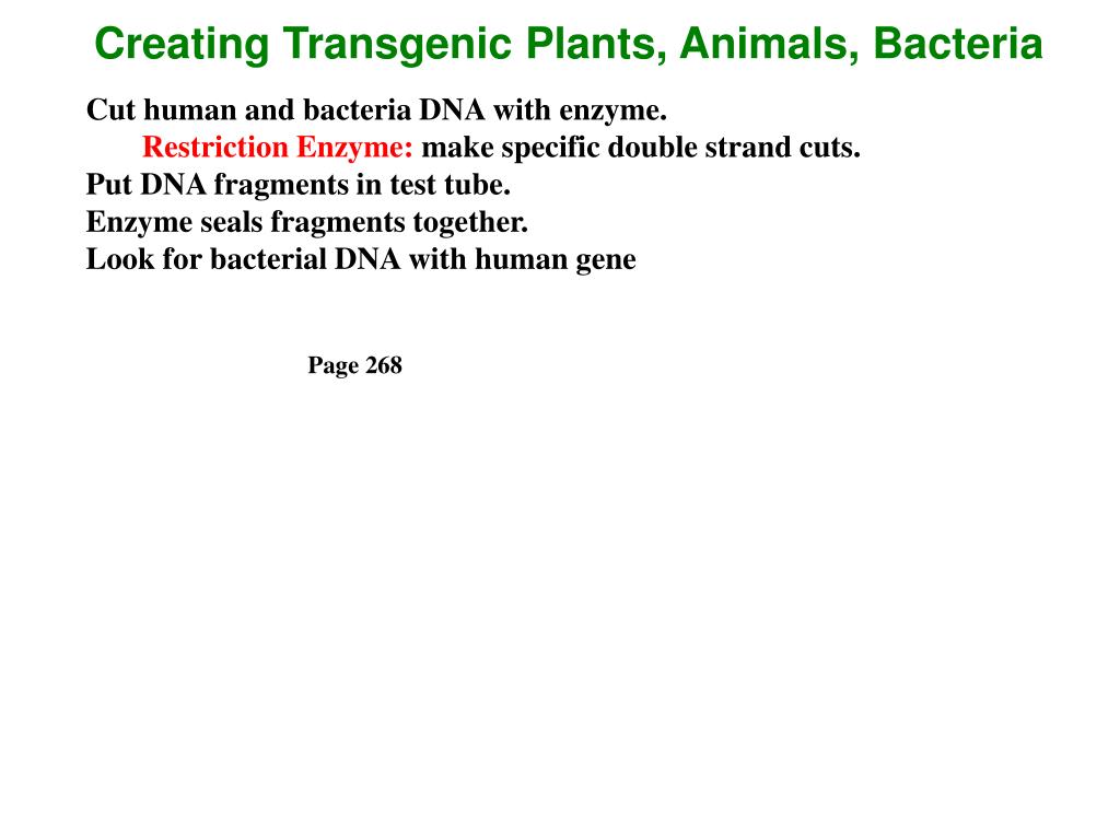 PPT - Central Dogma of Biology: Protein Synthesis PowerPoint ...