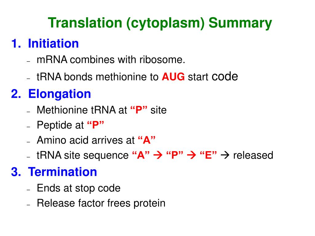 PPT - Central Dogma of Biology: Protein Synthesis PowerPoint ...