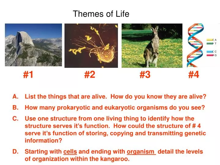 PPT - List the things that are alive. How do you know they are alive ...