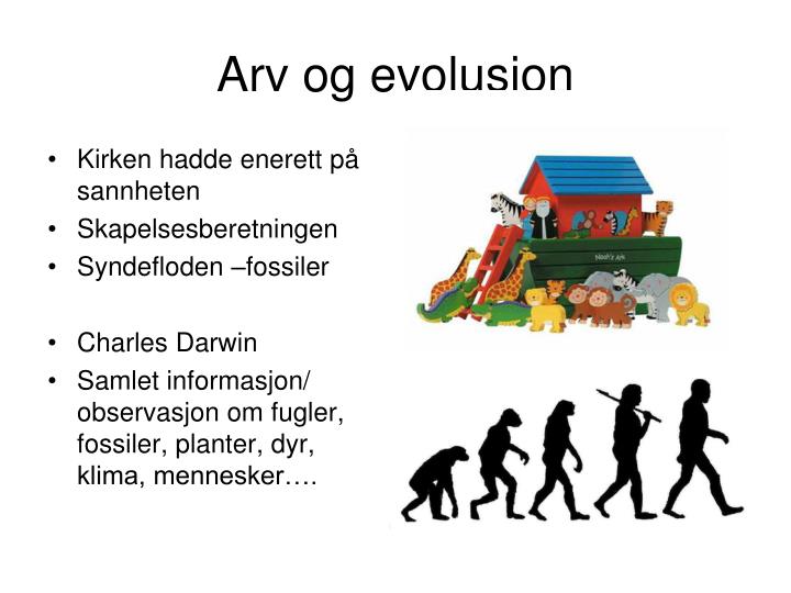 PPT - Kapittel 2: DNA og arvelære PowerPoint Presentation - ID:3958499