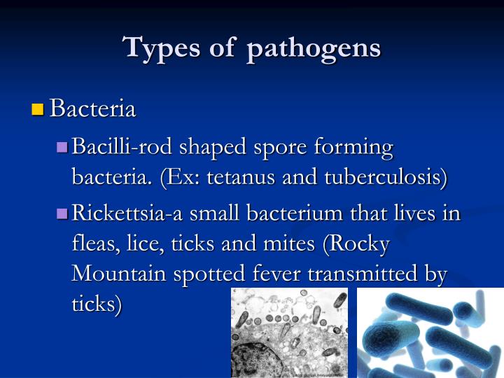 PPT - Lymphatic Medical Terminology PowerPoint Presentation - ID:3959055