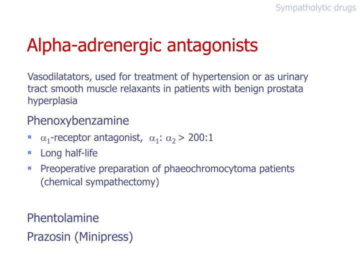 PPT - Alpha-adrenergic drugs PowerPoint Presentation - ID:3959557