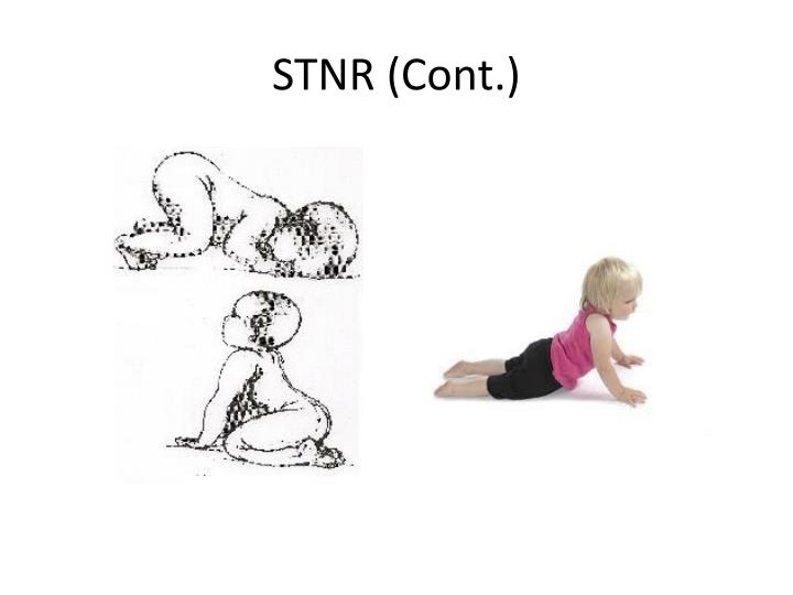 PPT - Child Development Reflexes PowerPoint Presentation - ID:3959645