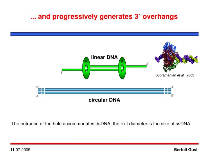 PPT - Lambda RED Recombination PowerPoint Presentation - ID:3960528