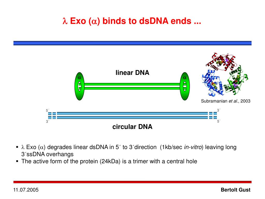 PPT - Lambda RED Recombination PowerPoint Presentation, free download ... PPT - Lambda RED Recombination PowerPoint Presentation, free download ...