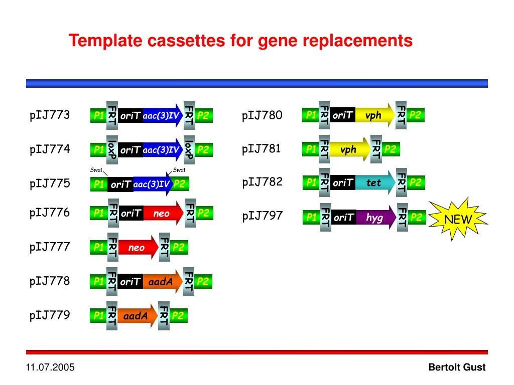 PPT - Lambda RED Recombination PowerPoint Presentation, free download ... PPT - Lambda RED Recombination PowerPoint Presentation, free download ...