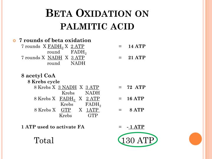 PPT - BETA-OXIDATION OF FATTY ACIDS PowerPoint Presentation - ID:3960874