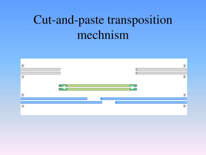 PPT - Chapter11 PowerPoint Presentation - ID:3961192