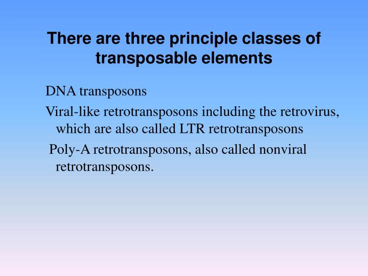 PPT - Chapter11 PowerPoint Presentation - ID:3961192