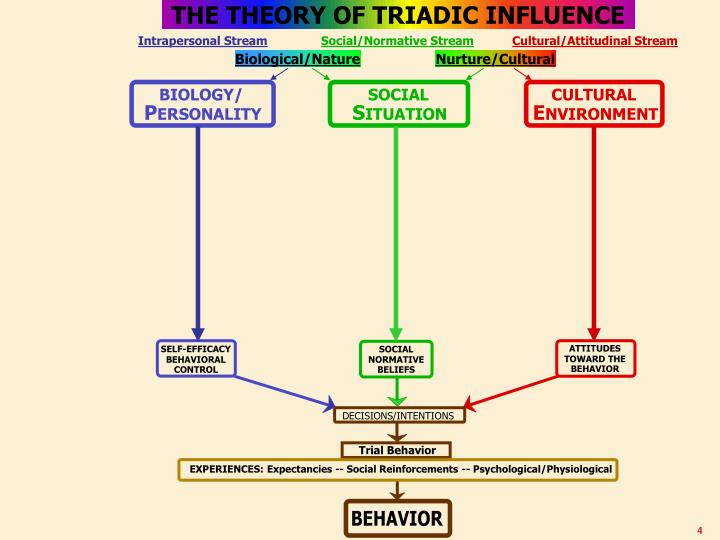 PPT - Causes and Prevention of Multiple Problem Behaviors: The Theory ...