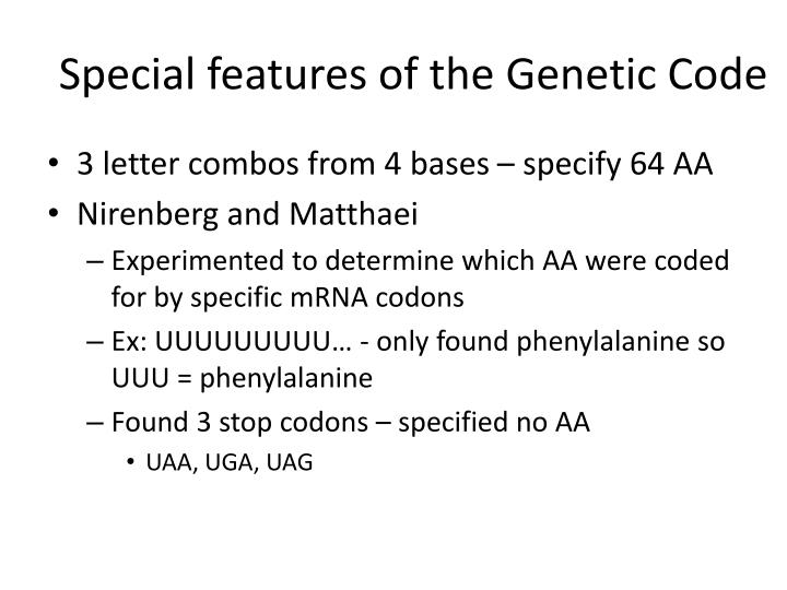 PPT - Chapter 12: RNA and Protein Synthesis PowerPoint Presentation ...