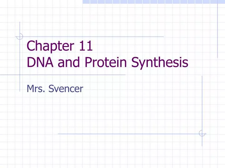 Ppt Chapter 11 Dna And Protein Synthesis Powerpoint Presentation