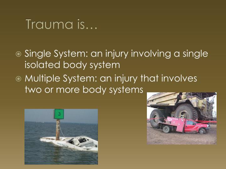 PPT - Multisystem Trauma PowerPoint Presentation - ID:3963335