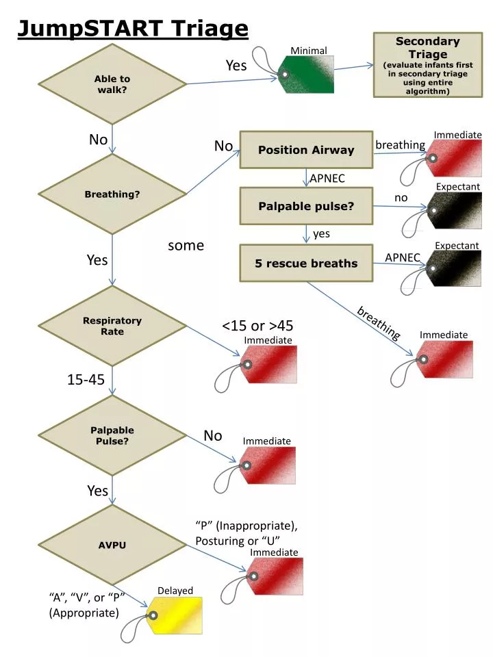 PPT - Secondary Triage (evaluate infants first in secondary triage ...