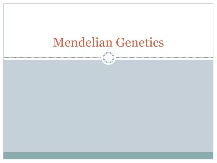 PPT - Mendelian Genetics PowerPoint Presentation, free download - ID ...