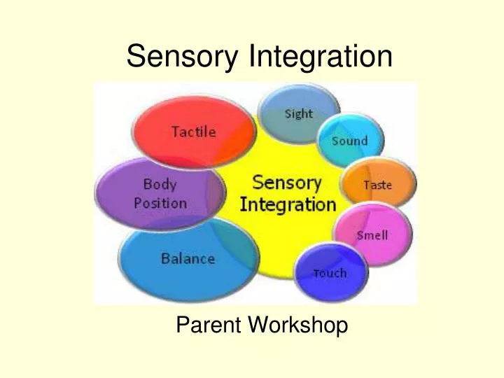 PPT Sensory Integration PowerPoint Presentation Free Download ID PPT Sensory Integration PowerPoint Presentation Free Download ID