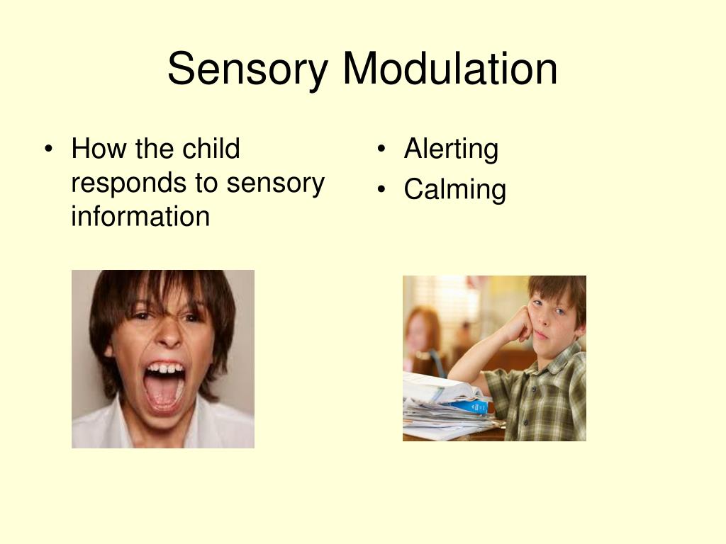 PPT - Sensory Integration PowerPoint Presentation, free download - ID ... PPT - Sensory Integration PowerPoint Presentation, free download - ID ...