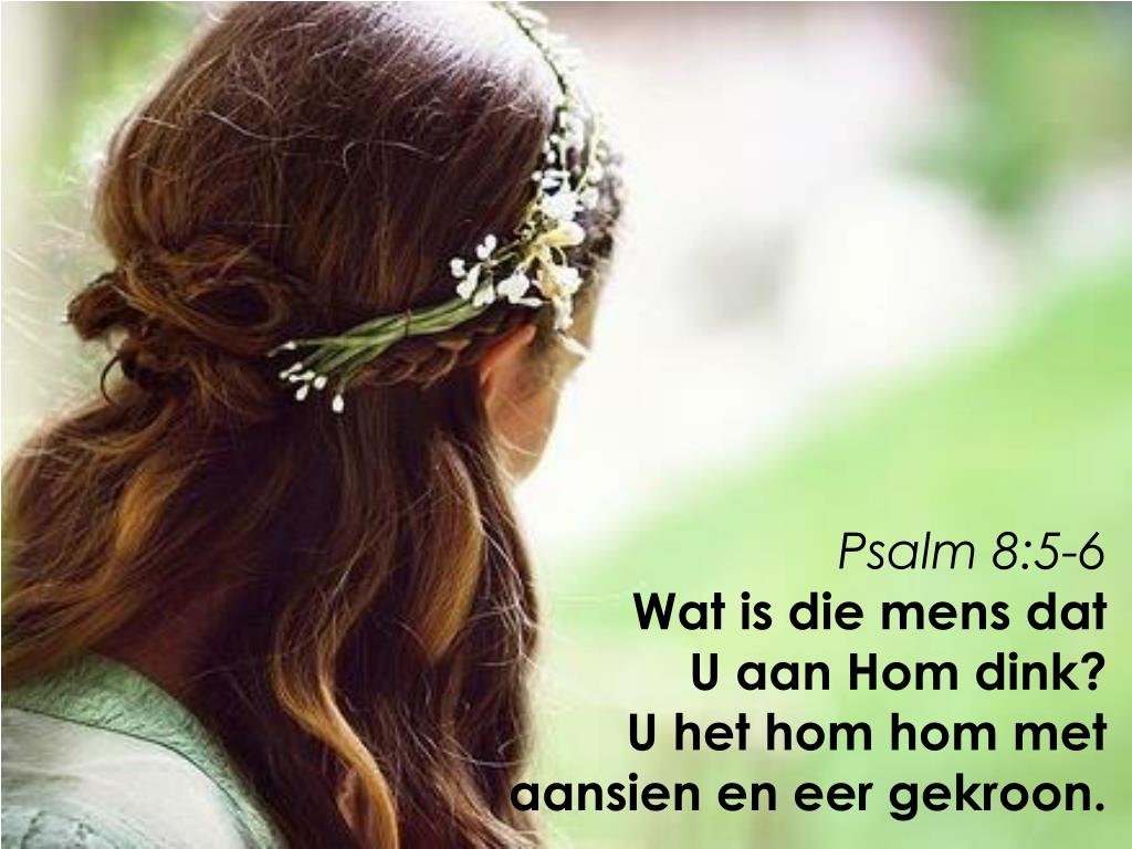 PPT - MUNUS TRIPLEX Die oprig en herstel van die drievoudige amp ...