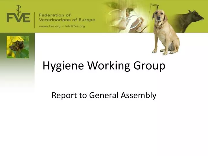 PPT - Hygiene Working Group PowerPoint Presentation, free download - ID ...