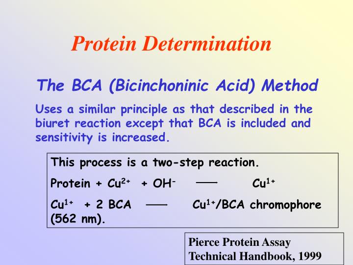PPT - Protein Concentration Determination PowerPoint Presentation - ID ...