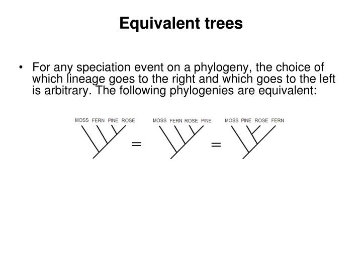 PPT - Reading Phylogenetic Trees PowerPoint Presentation - ID:3969880