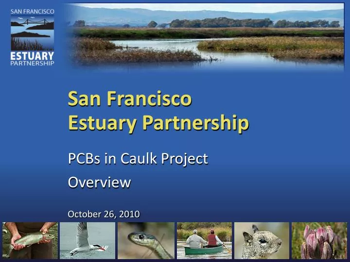 PPT - San Francisco Estuary Partnership PowerPoint Presentation, free ...